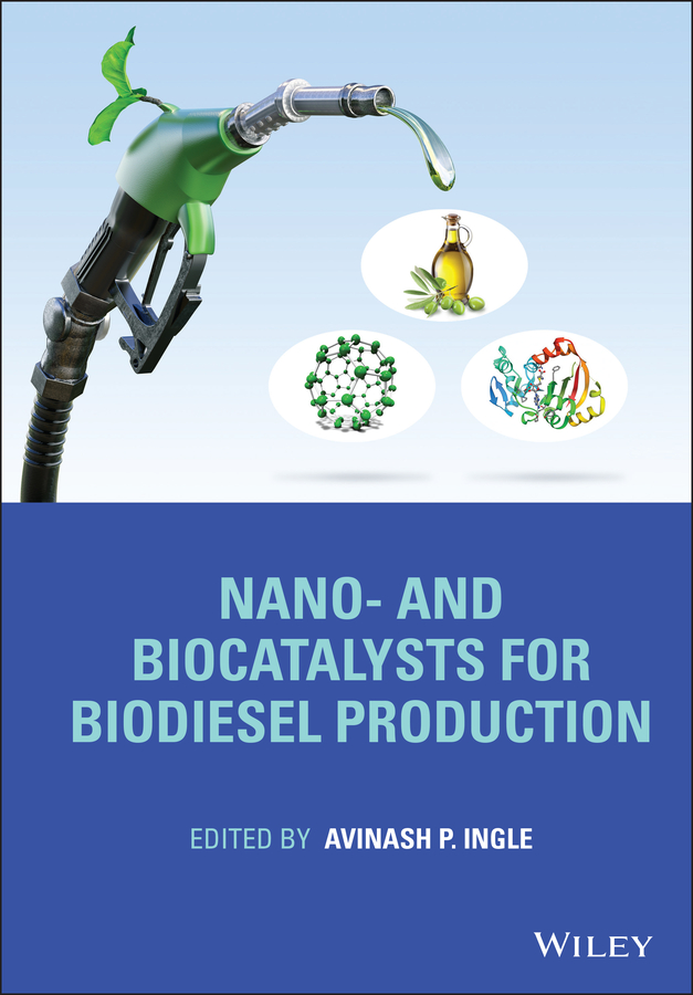 Nanotechnology for Biorefinery