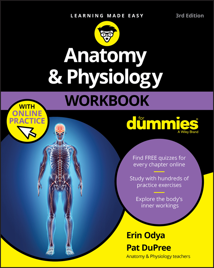 10 Study Tips For Anatomy And Physiology Students Dummies